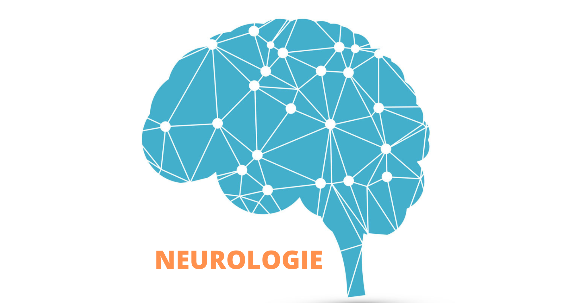 Organisation de la neuro au Havre - Le Stétho